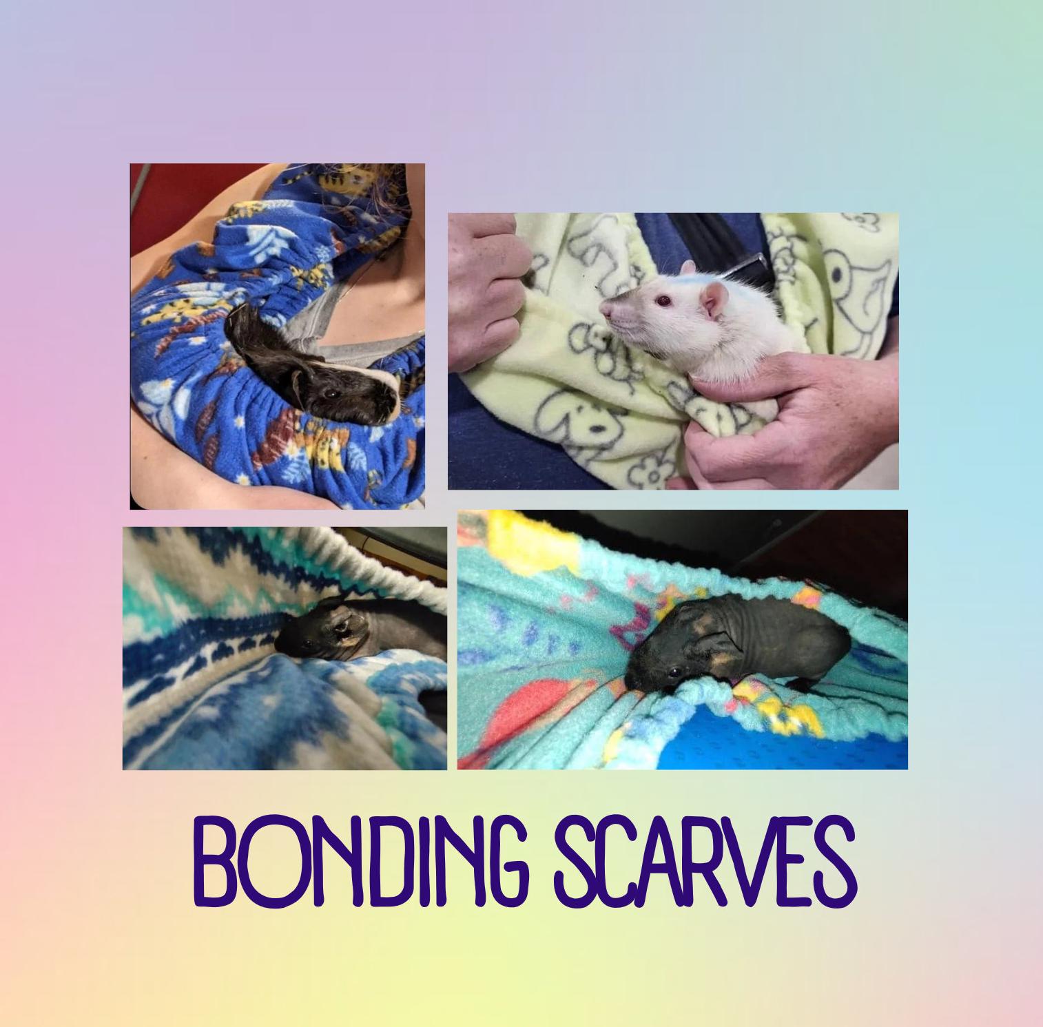Bonding Scarf Cuddle Scarf Pet Sling, Perfect for Guinea Pigs, Rats ...