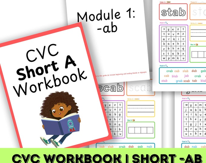 Phonics Binder | Reading Intervention Fluency | Phonics Curriculum Book ...