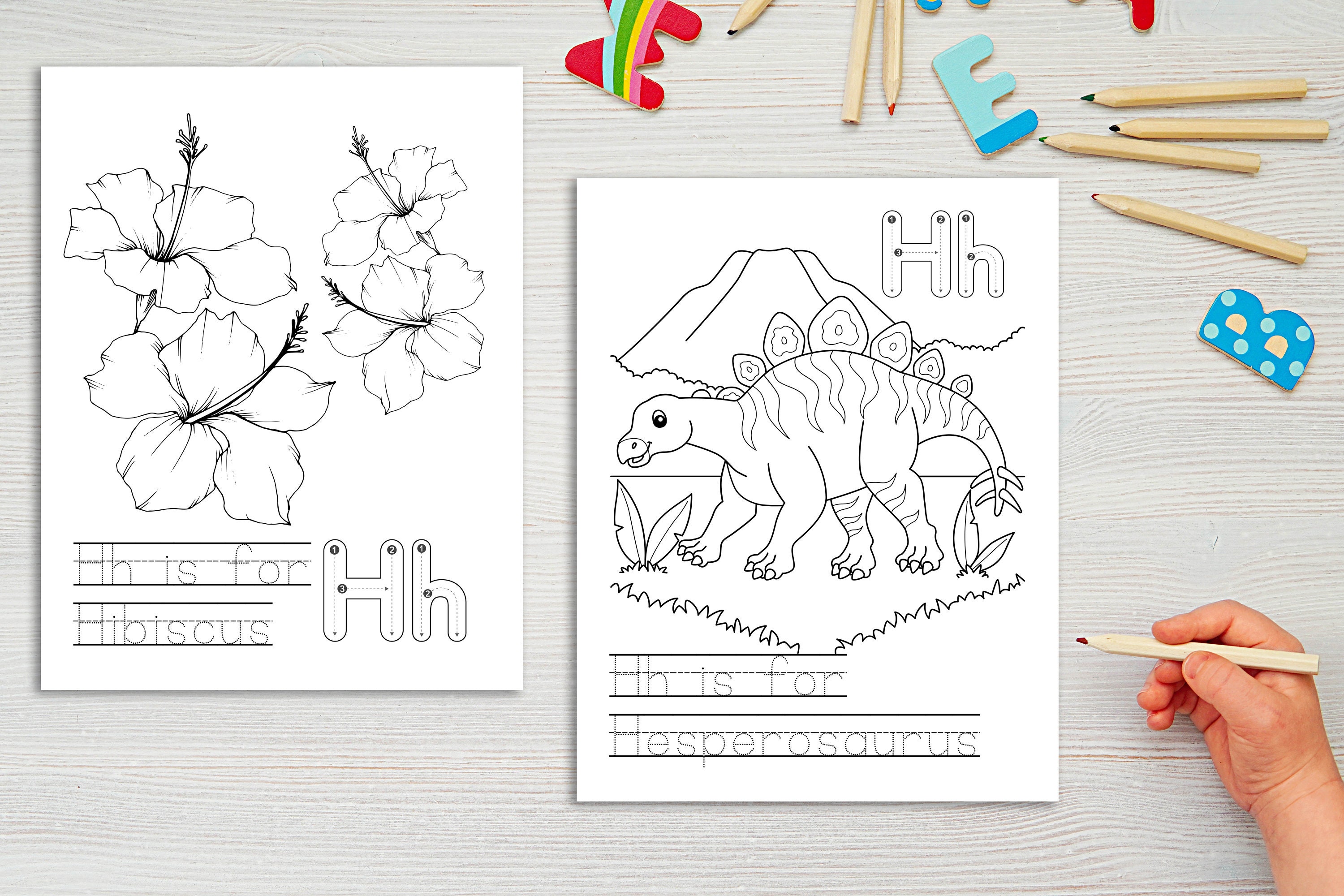 Letter of the Week H Alphabet Learning, Preschool Worksheets, Printable ...