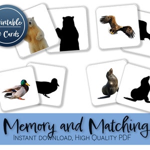 Animal Shadow Matching Cards - Montessori Printable Activity - Toddler ...