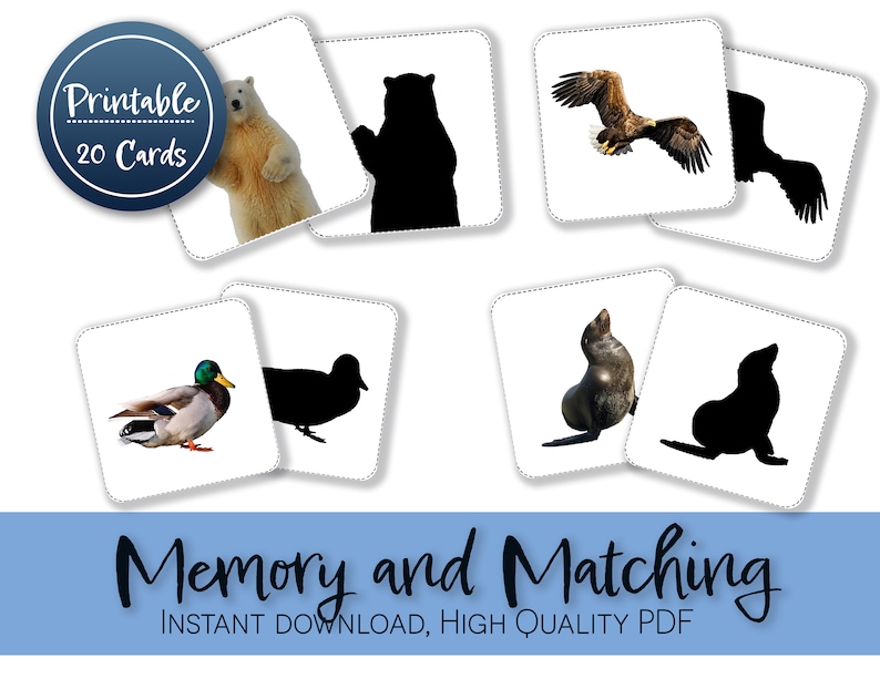 Animal Shadow Matching Cards - Montessori Printable Activity - Toddler ...