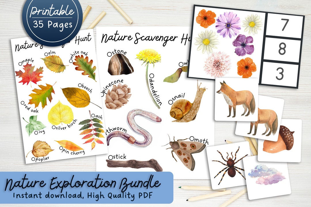 Nature Exploration | Forest School Counting Preschool Classroom Math ...