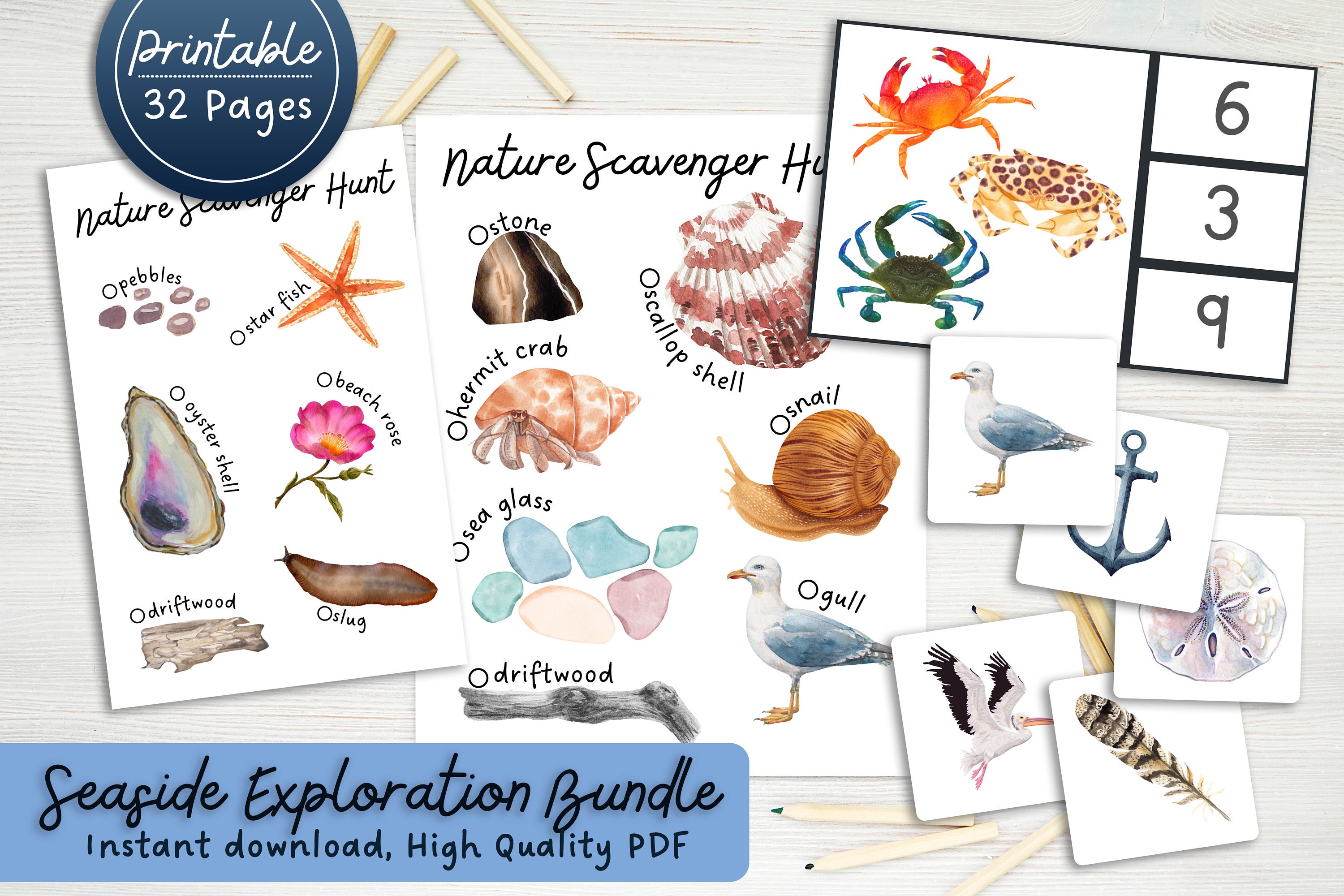 Seaside Nature Exploration Forest School Counting Preschool - Etsy