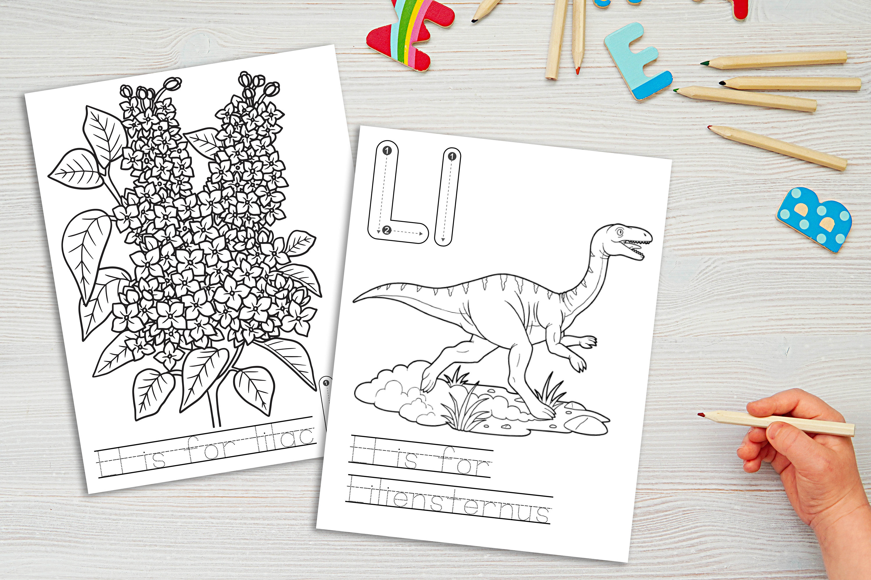 Letter of the Week L Alphabet Learning, Preschool Worksheets, Printable ...