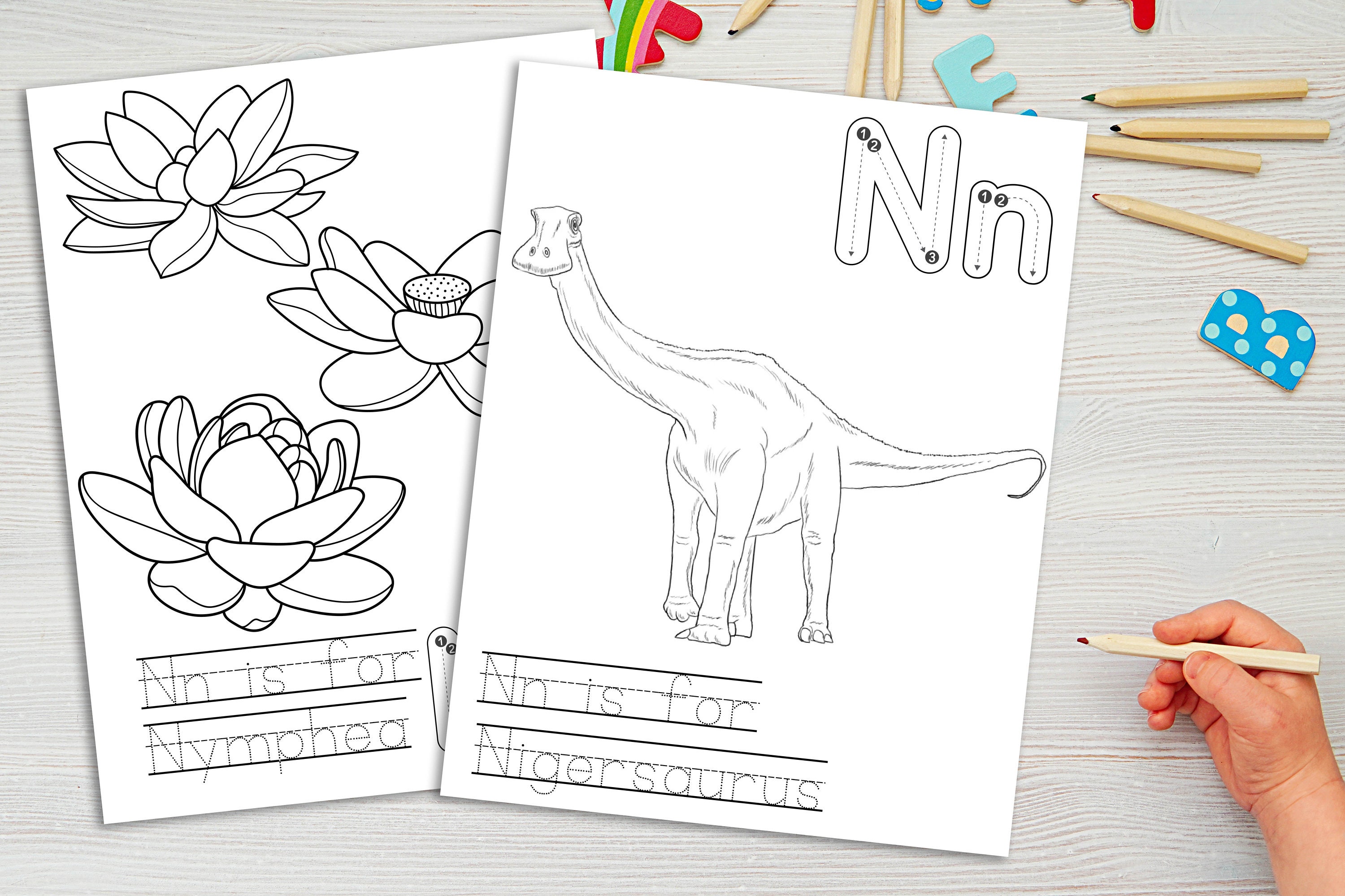 Letter of the Week N Alphabet Learning Preschool - Etsy