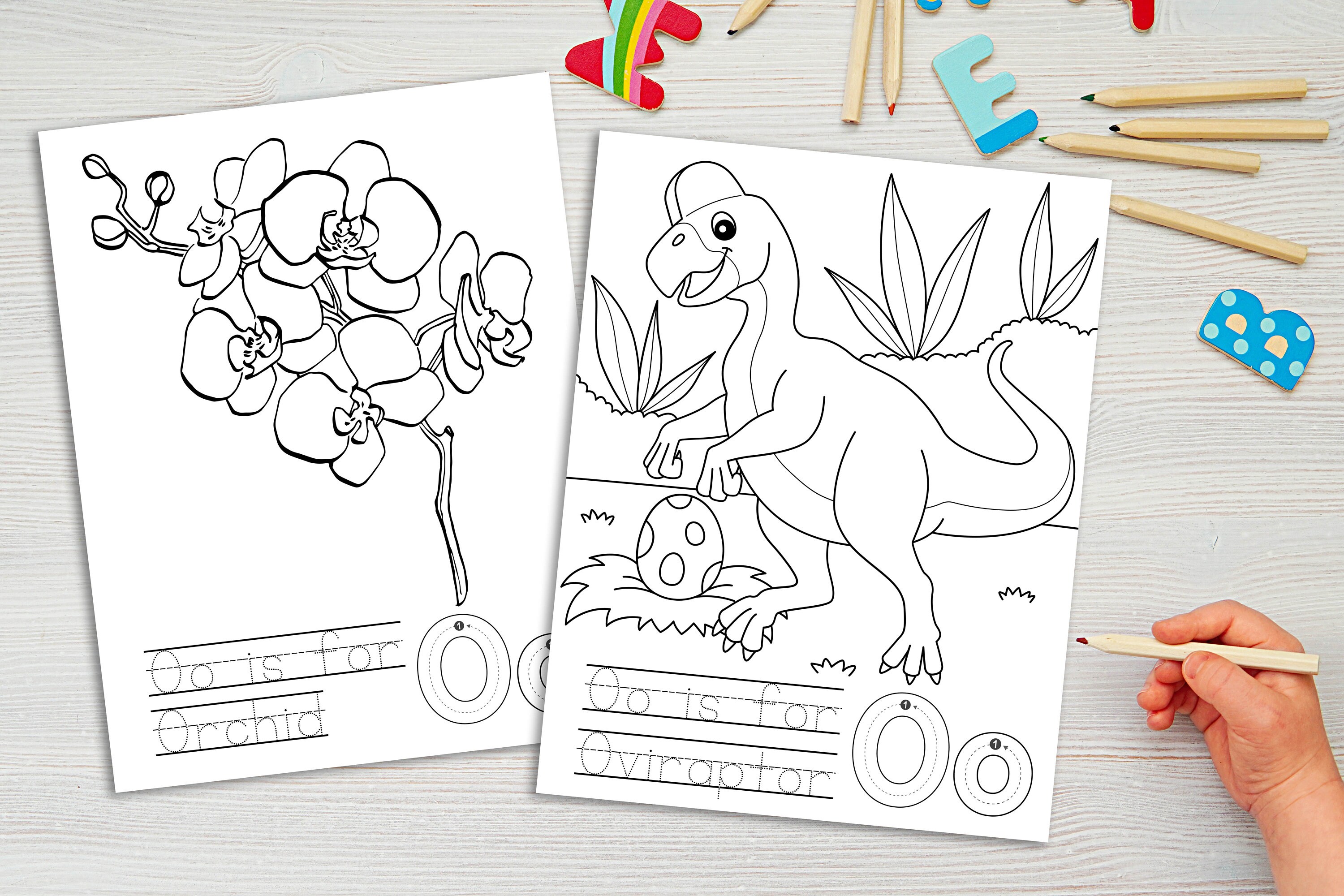 Letter of the Week O Alphabet Learning Preschool - Etsy