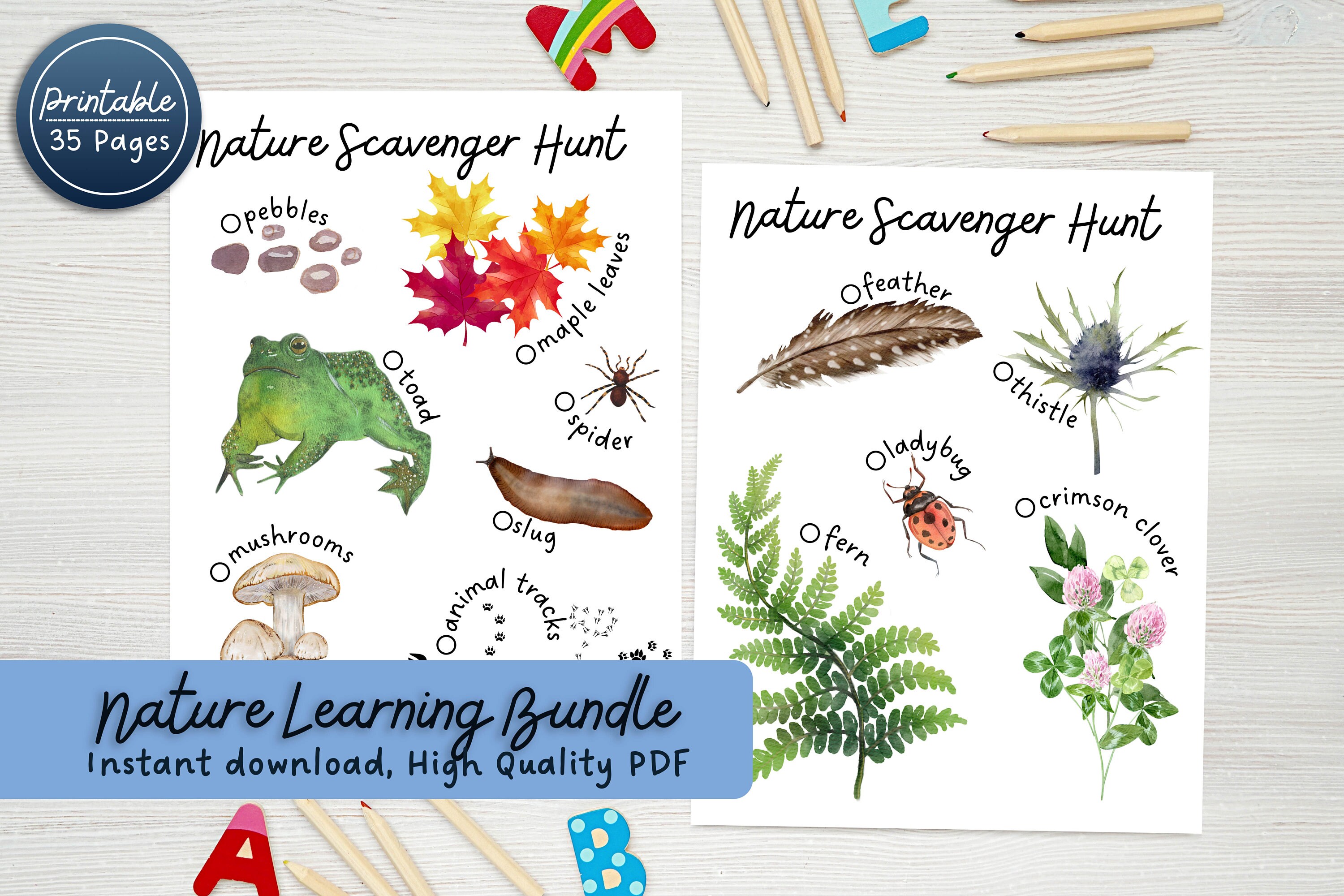 Nature Exploration | Forest School Counting Preschool Classroom Math ...