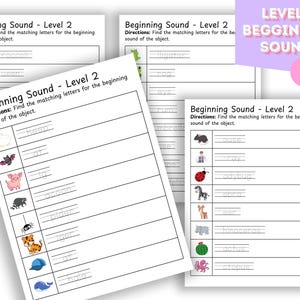 Spelling Worksheets | Phonics CVC Amplify Phonemic Awareness | DIEBELS ...