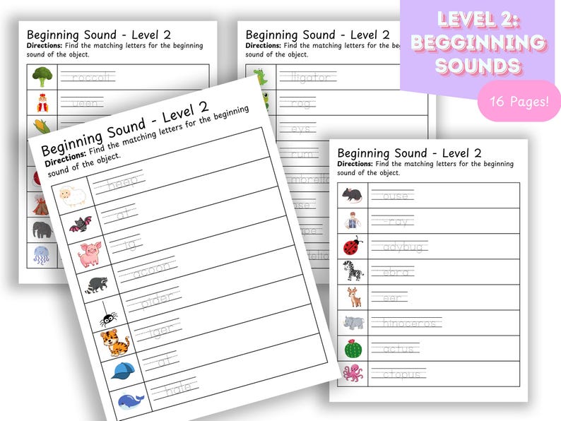 Spelling Worksheets | Phonics CVC Amplify Phonemic Awareness | DIEBELS ...