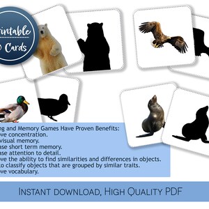 Animal Shadow Matching Cards - Montessori Printable Activity - Toddler ...