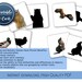 Animal Shadow Matching Cards - Montessori Printable Activity - Toddler ...
