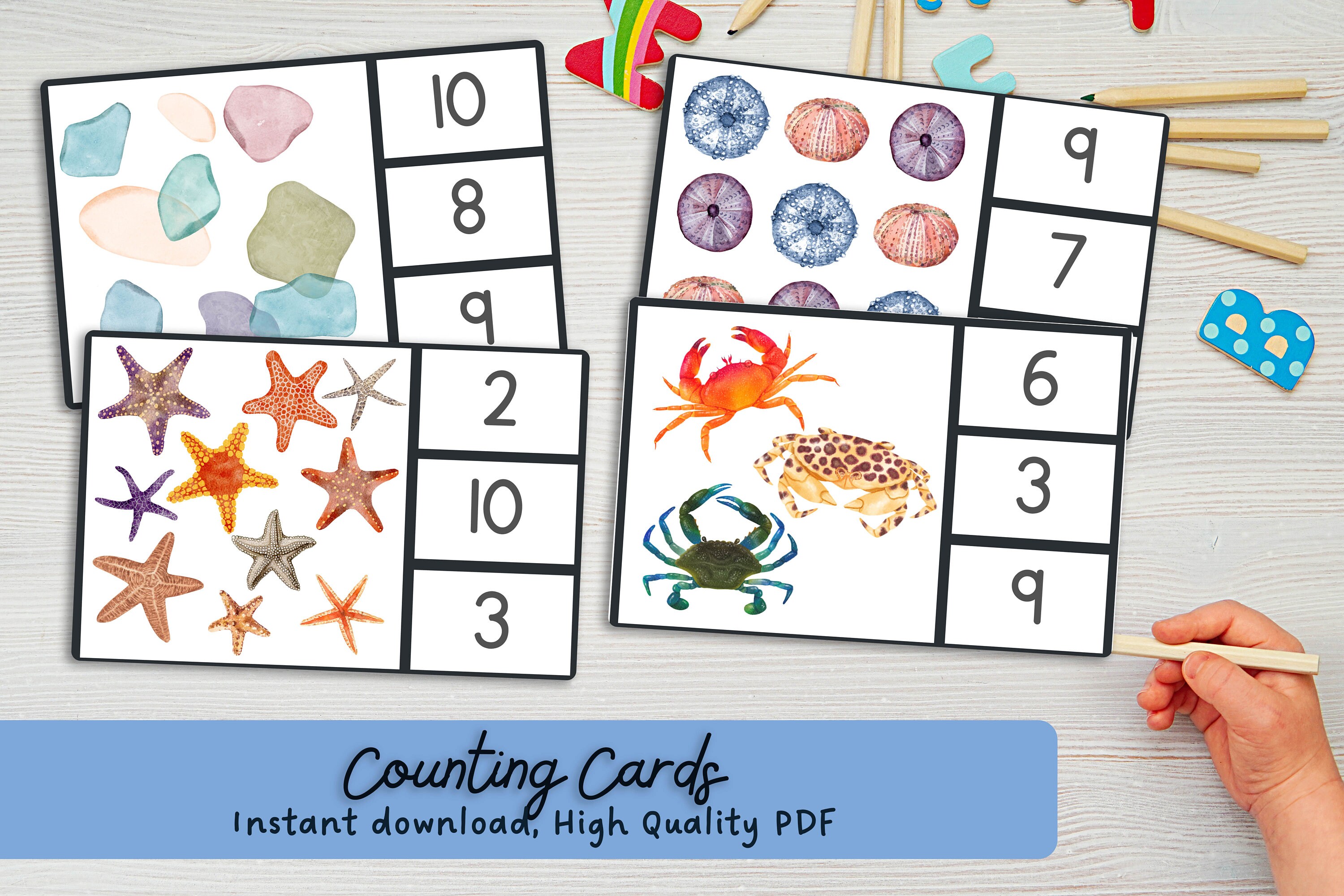 Seaside Nature Exploration Forest School Counting Preschool - Etsy