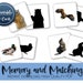 Animal Shadow Matching Cards - Montessori Printable Activity - Toddler ...