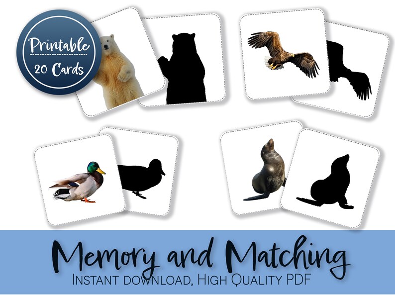 Animal Shadow Matching Cards - Montessori Printable Activity - Toddler ...