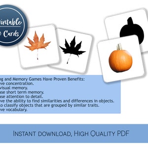 Autumn Shadow Matching Cards Montessori Printable Activity Toddler ...