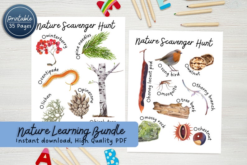 Nature Exploration | Forest School Counting Preschool Classroom Math ...