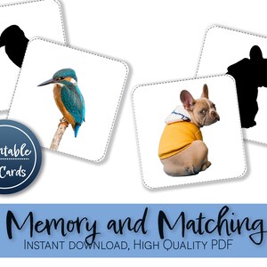 Animal Shadow Matching Cards - Montessori Printable Activity - Toddler ...