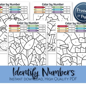 Pre-k Color by Number Printable Worksheet, Educational Activities ...