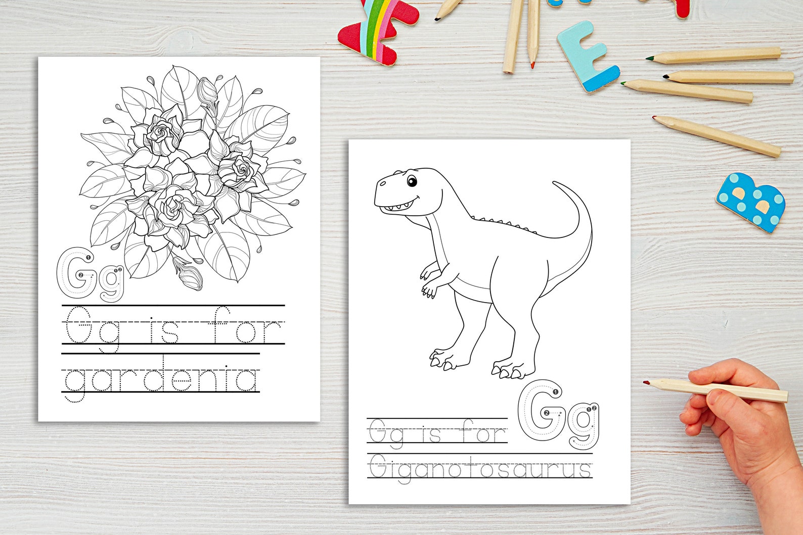 Letter of the Week G Alphabet Learning, Preschool Worksheets, Printable ...