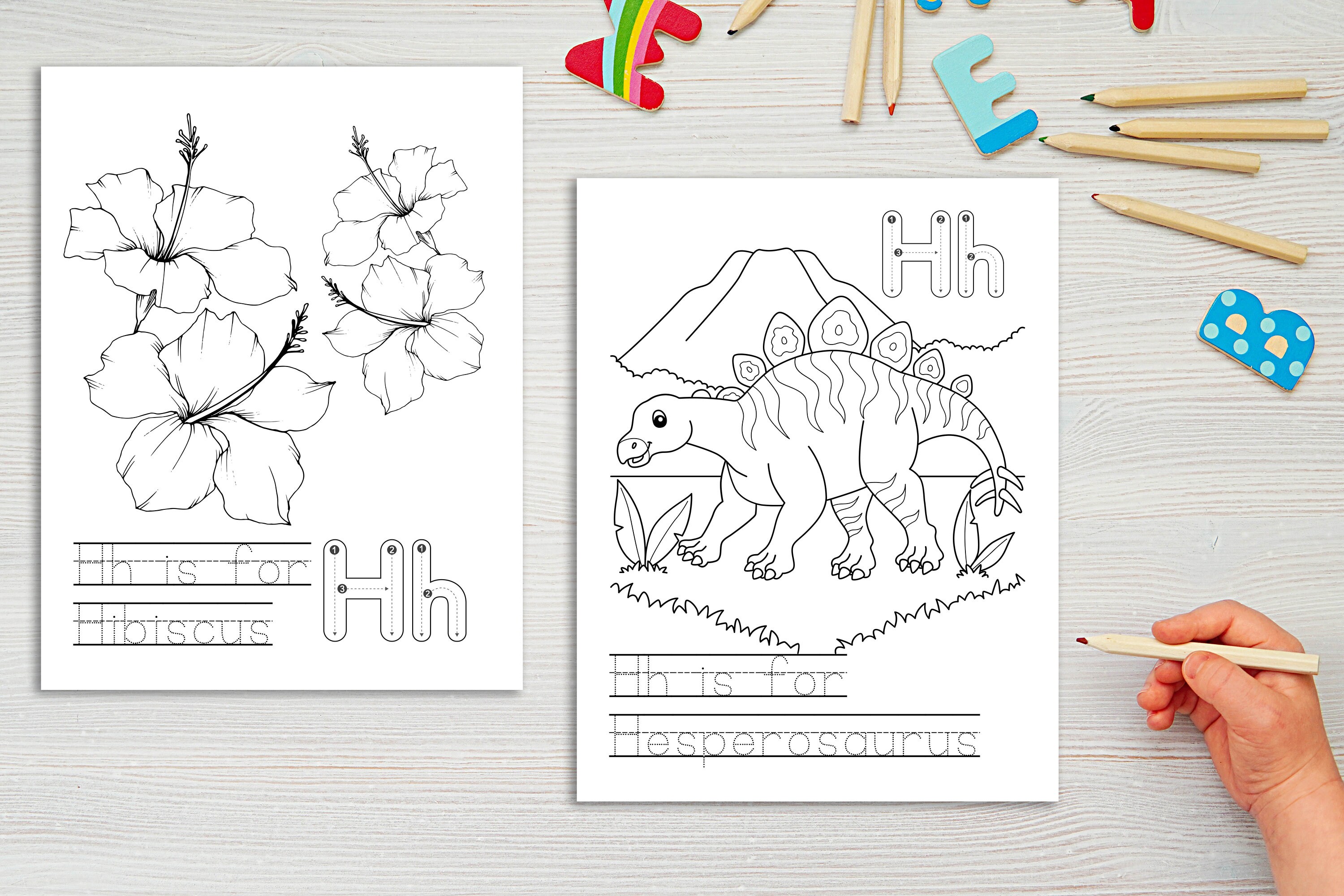 Letter of the Week H Alphabet Learning, Preschool Worksheets, Printable ...