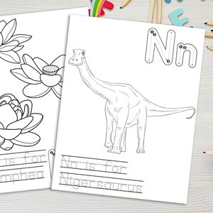Letter of the Week N Alphabet Learning Preschool - Etsy