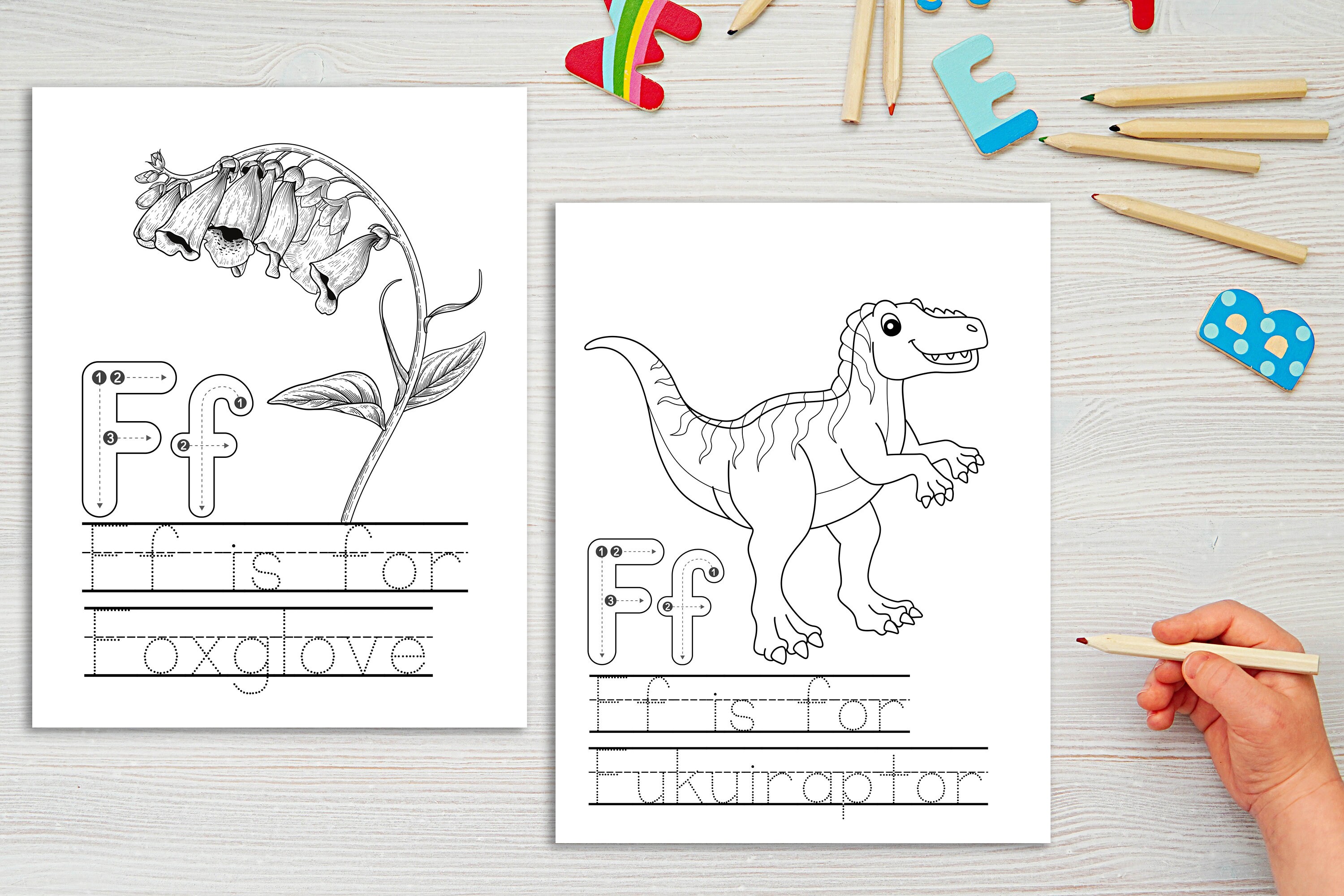 Letter of the Week F Alphabet Learning, Preschool Worksheets, Printable ...