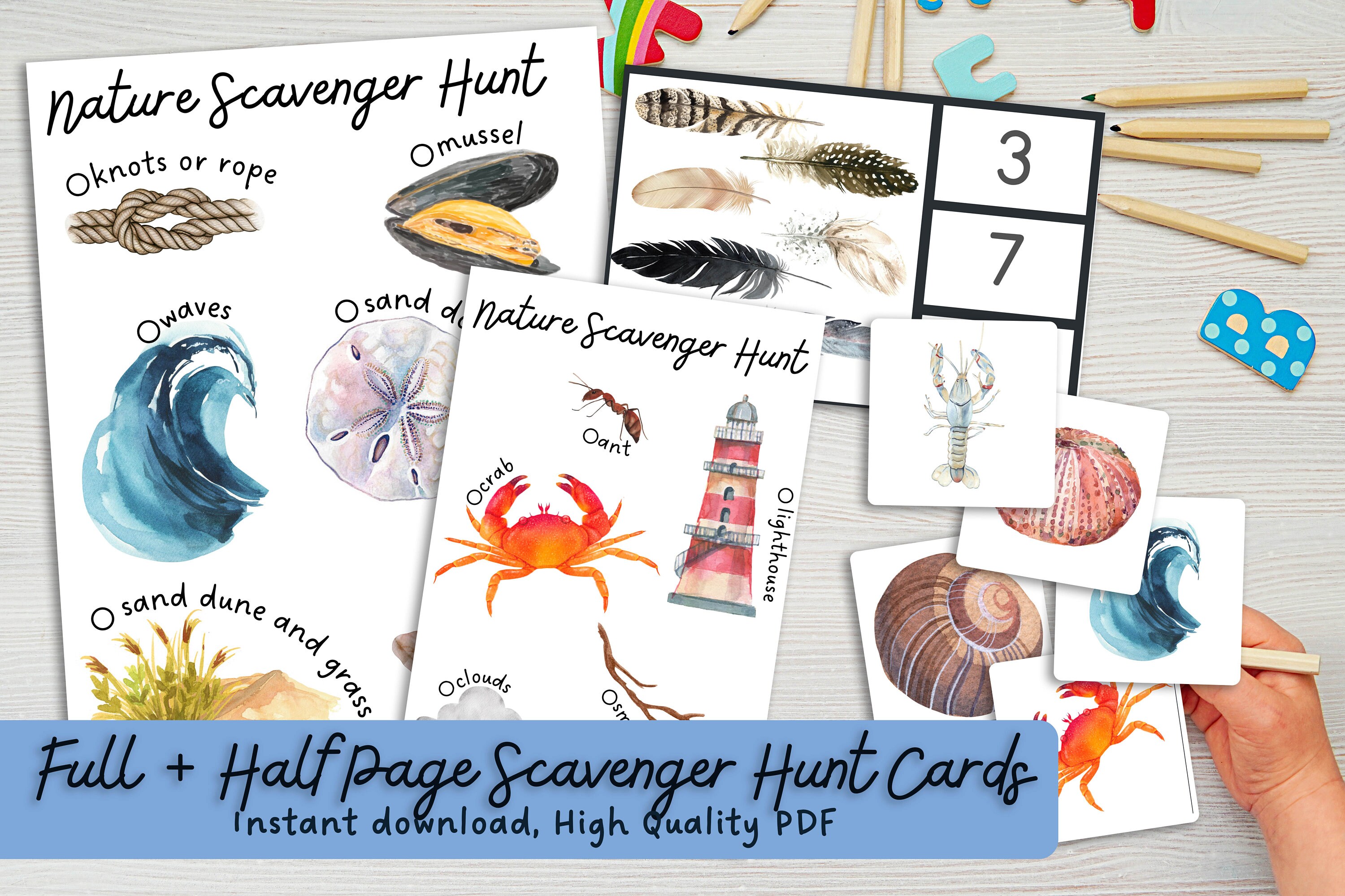 Seaside Nature Exploration Forest School Counting Preschool - Etsy