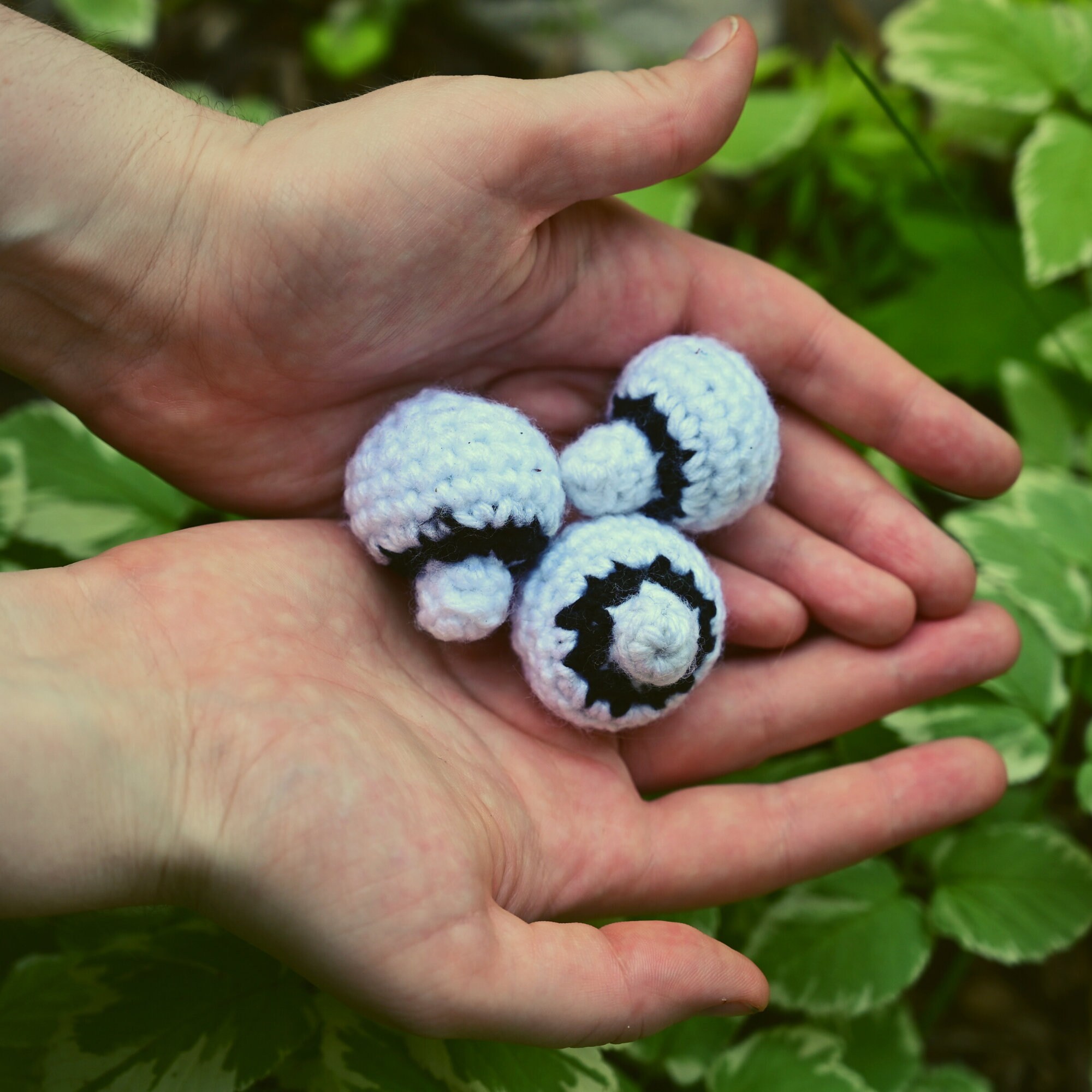 Small Button Mushroom Crochet PDF Pattern (easy Amigurumi) - Etsy