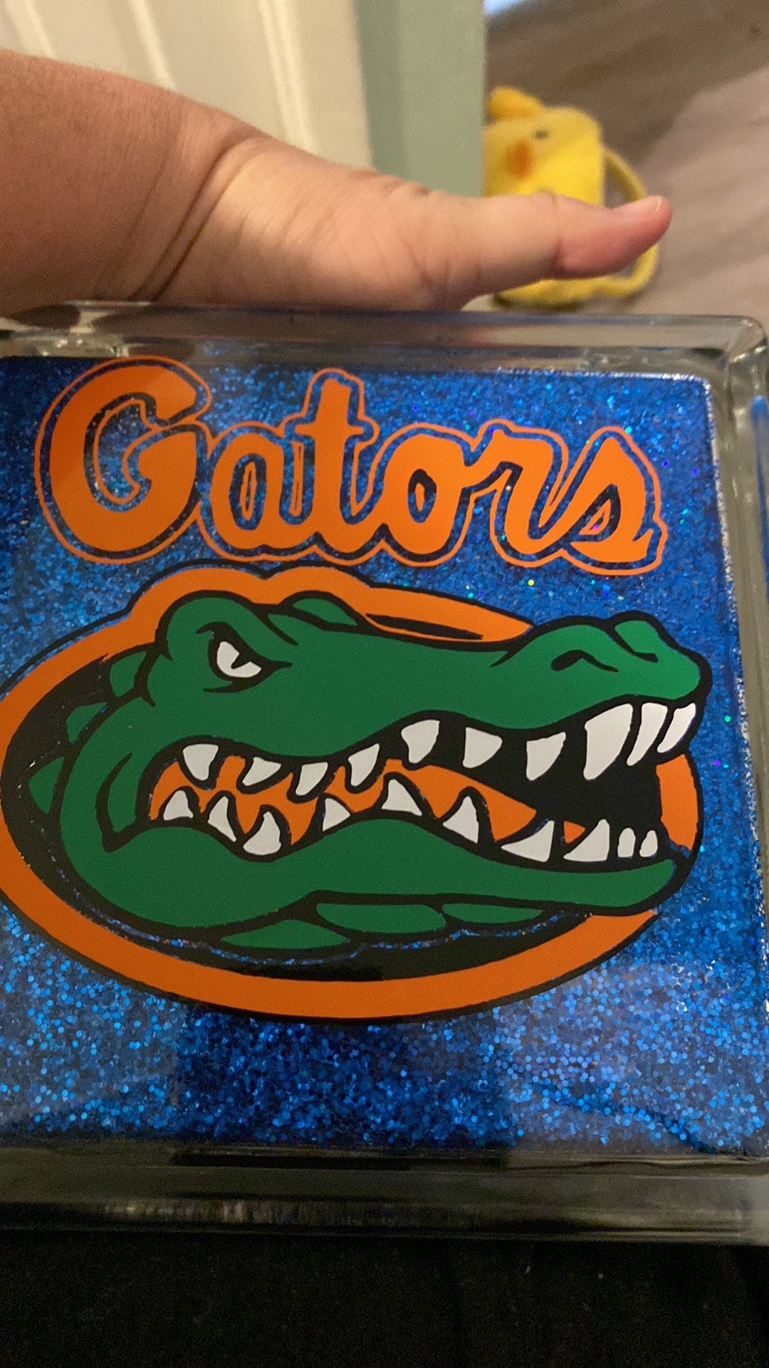 Florida Gators LED Light up Glass Block - Etsy
