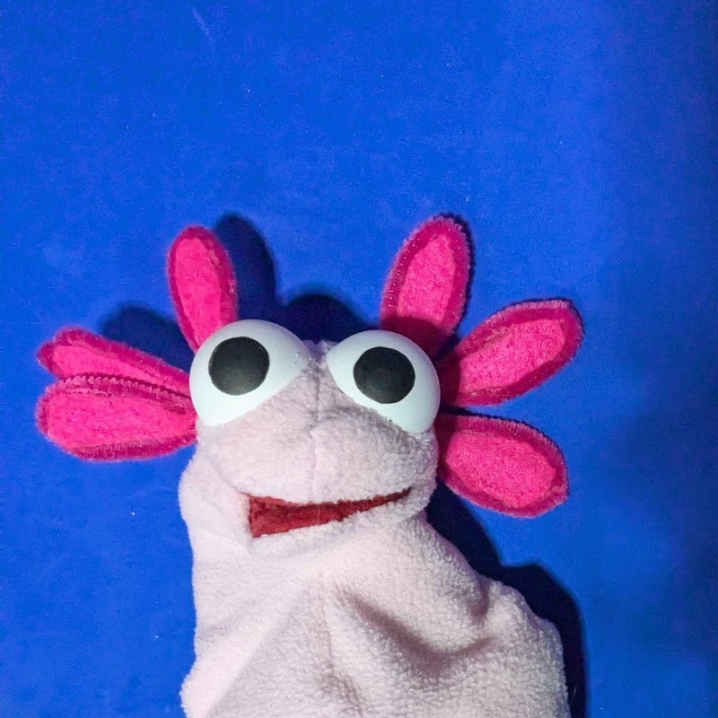 Axolotl Puppet - Etsy