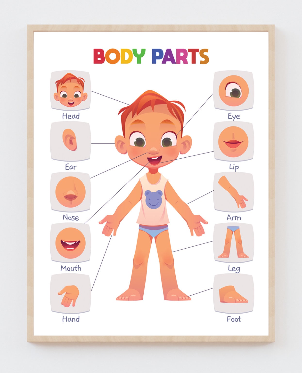 Daycare Human Body Parts Wall Decor, Nursery Body Parts Room Decor ...