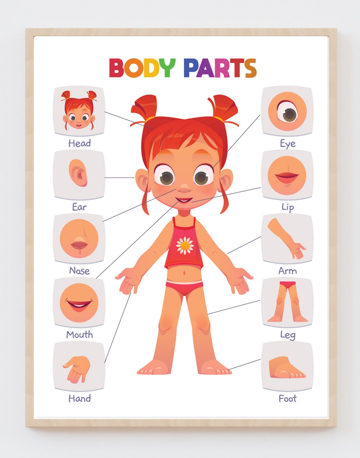 Daycare Human Body Parts Wall Decor, Nursery Body Parts Room Decor ...