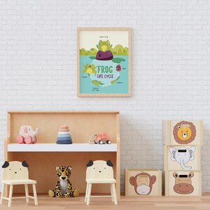 Frog Life Cycle Wall Decor, Daycare Wall Decor Nursery, Educational ...