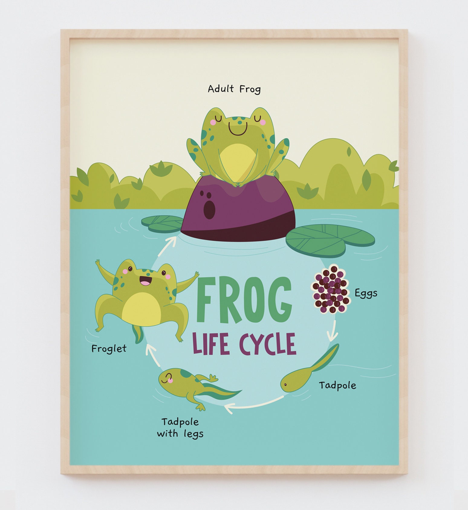 Frog Life Cycle Wall Decor, Daycare Wall Decor Nursery, Educational ...