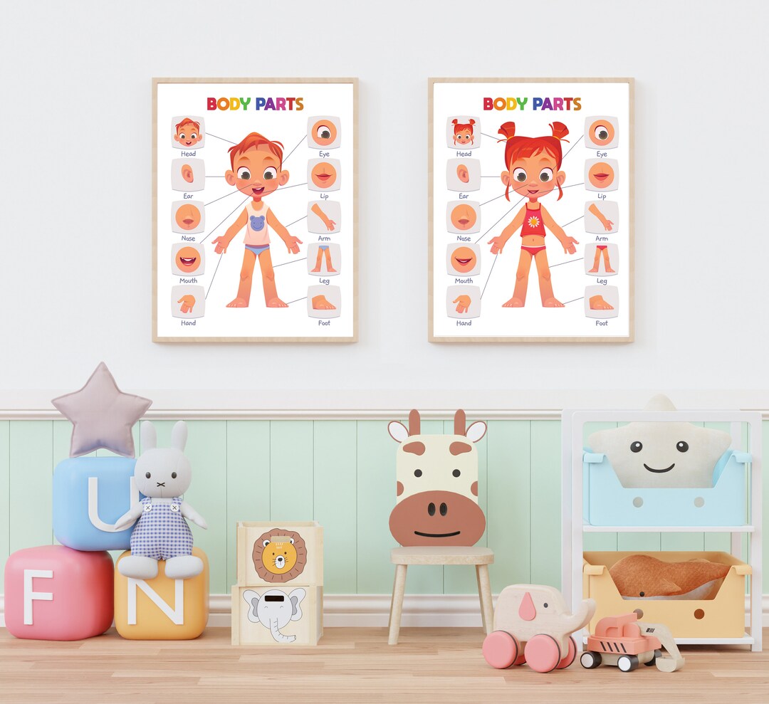 Daycare Human Body Parts Wall Decor, Nursery Body Parts Room Decor ...