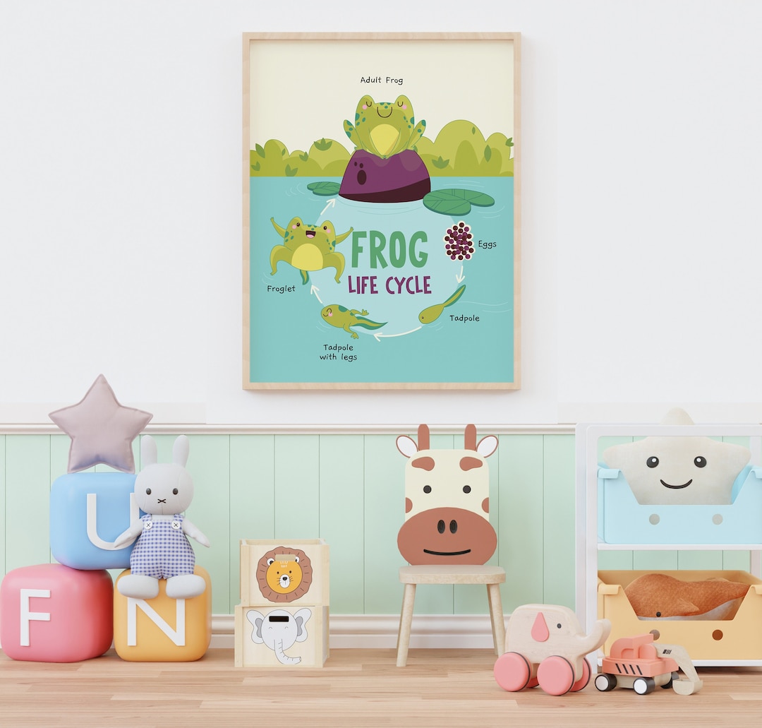 Frog Life Cycle Wall Decor, Daycare Wall Decor Nursery, Educational ...