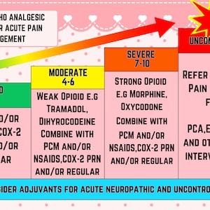 Printable Pain Score Protocol for Nurses - Etsy