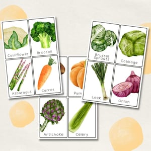 40 Vegetable Flashcards Montessori Learning Homeschool Flashcards ...