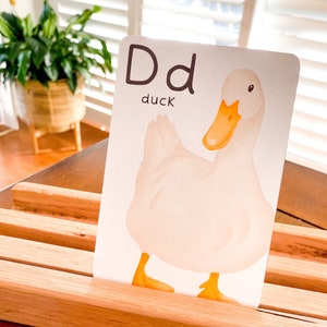 Nature Alphabet Flashcards Alphabet Flashcards ABC - Etsy Canada