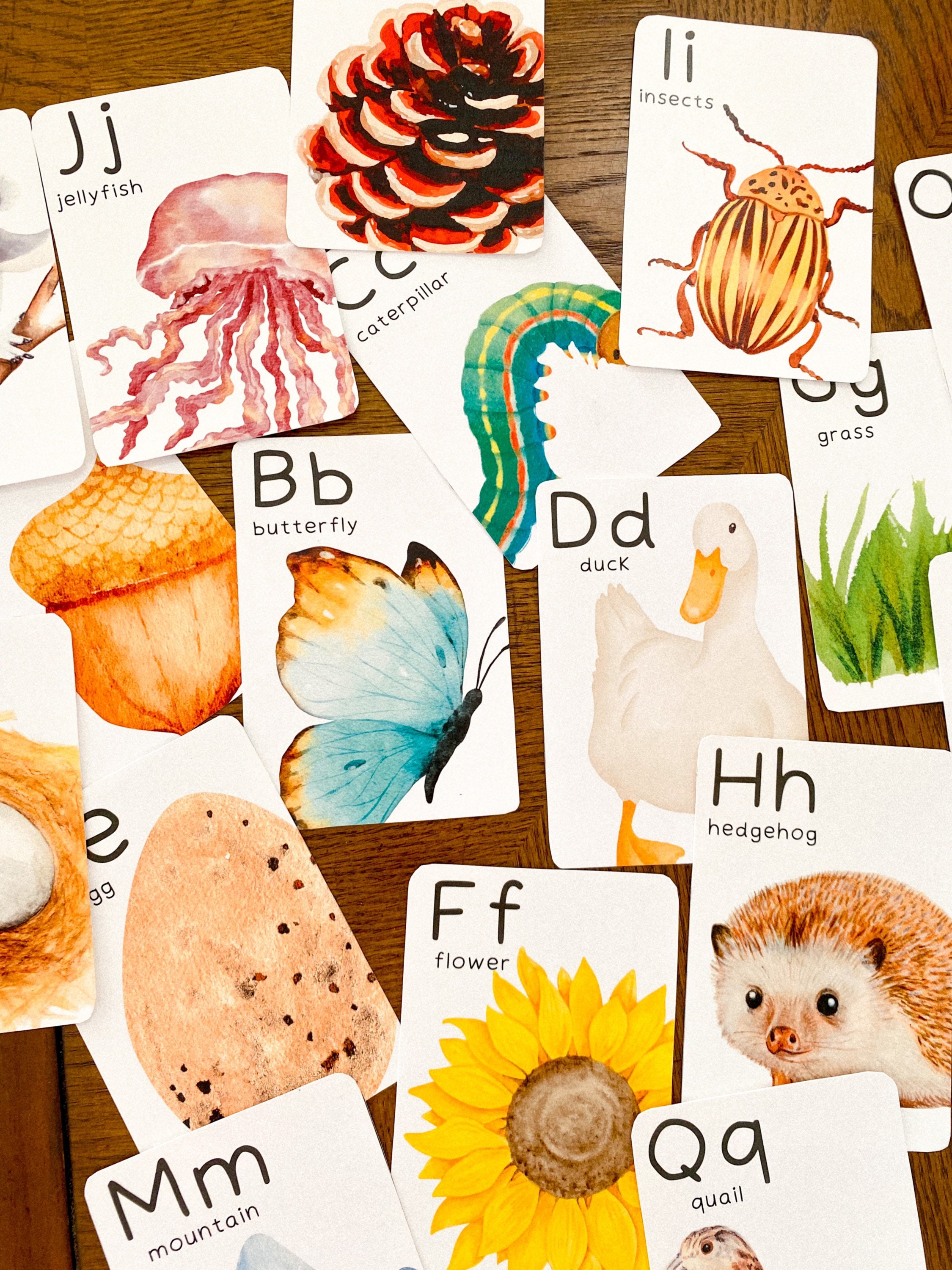 Buy Nature Alphabet Flashcards Alphabet Flashcards ABC Online in India ...