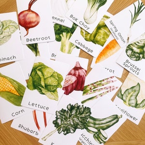 40 Vegetable Flashcards Montessori Learning Homeschool Flashcards ...