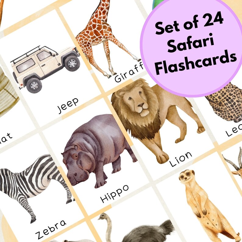 Safari Animal Flashcards | Set of 24 Animal Flashcards | African ...