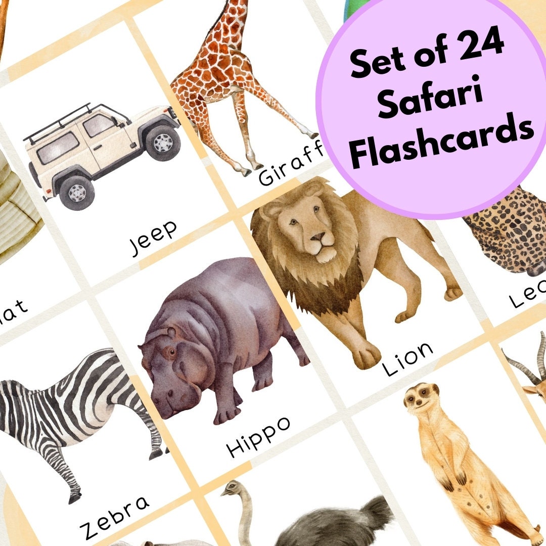 Safari Animal Flashcards | Set of 24 Animal Flashcards | African ...