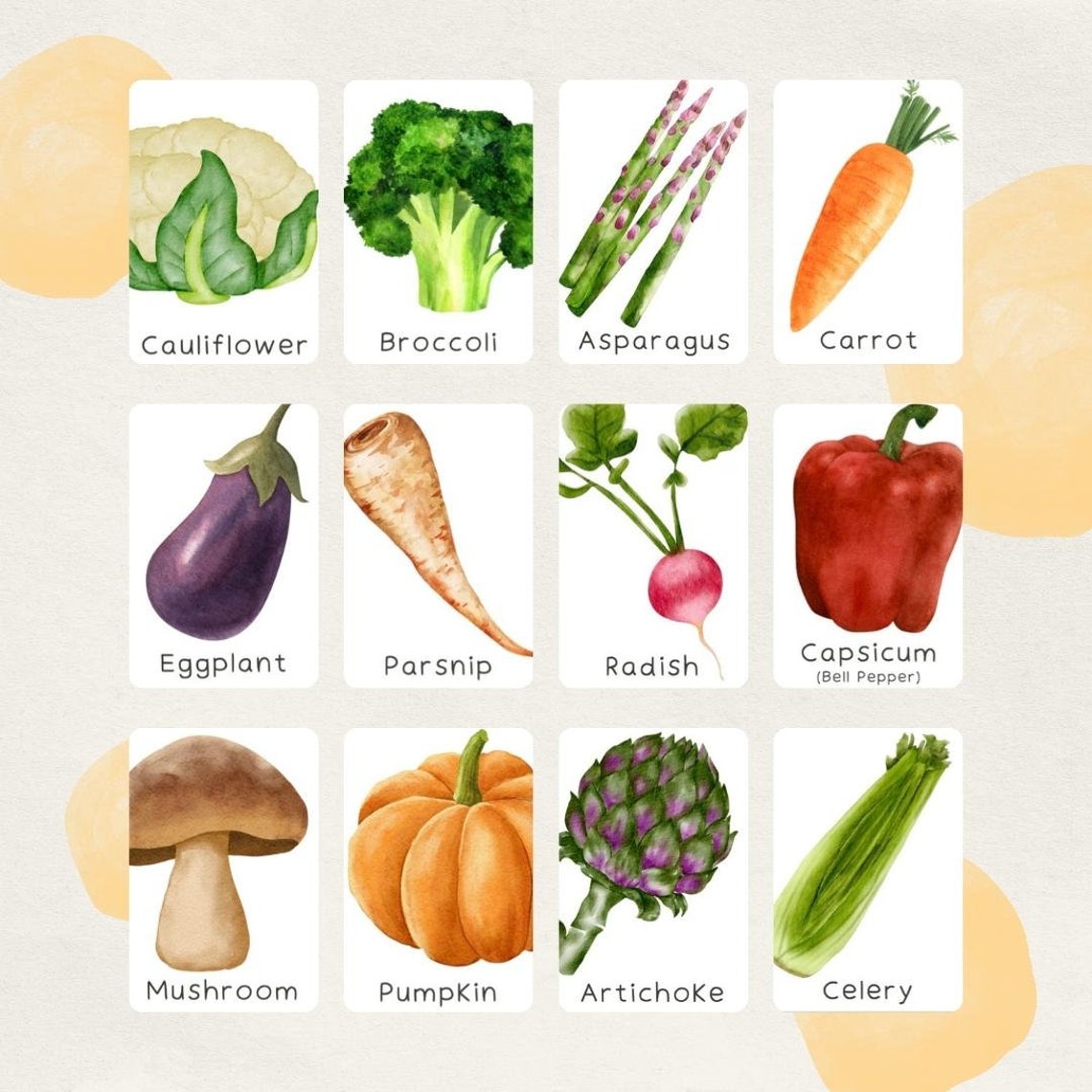40 Vegetable Flashcards Montessori Homeschool Flashcards - Etsy