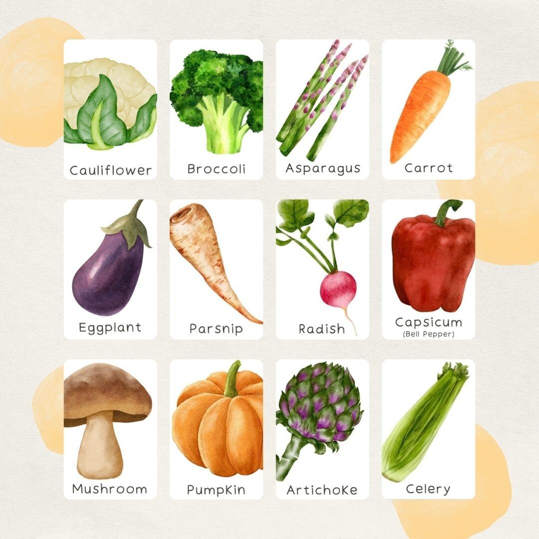 40 Vegetable Flashcards Montessori Homeschool Flashcards - Etsy