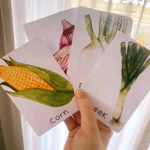 40 Vegetable Flashcards Montessori Learning Homeschool Flashcards ...