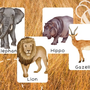 On Safari Flashcards Homeschool Printable Set of 24 Cards - Etsy
