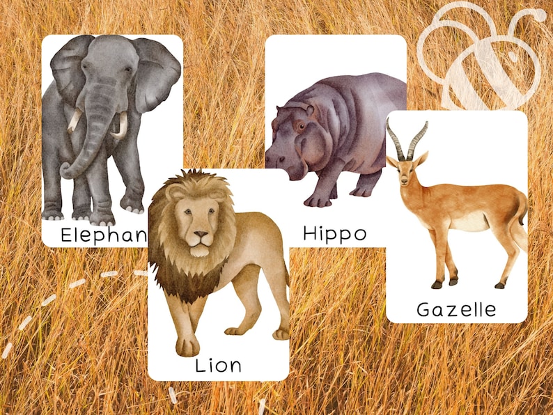 Safari Animal Flashcards | Set of 24 Animal Flashcards | African ...