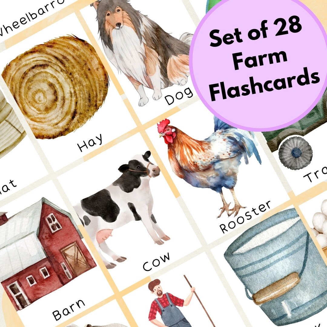 Farm Animal Flashcards | Learn About Farm Animals | Set of 28 Cards ...