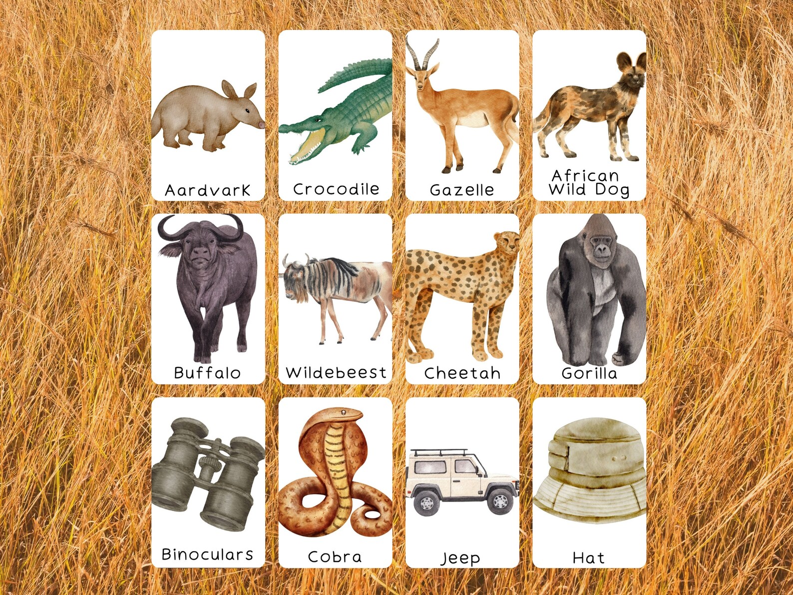 Safari Animal Flashcards Set of 24 Animal Flashcards African Animals ...